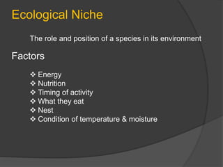 Ecological Niche details .. | PPTX | Geography | Science