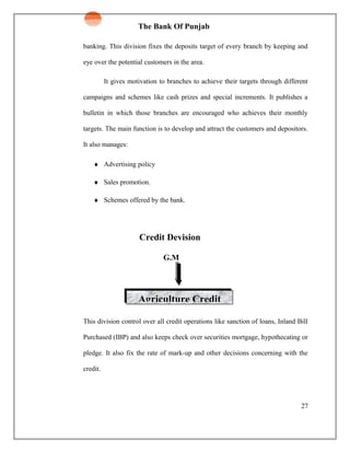 The bank of punjab internship report | DOC
