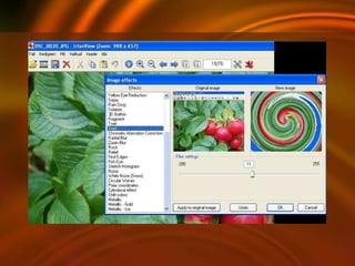 Irfan View+4 25 | PPT