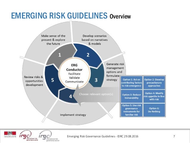 IRGC Guidelines for Emerging Risk Governance, Marie-Valentine FLORIN
