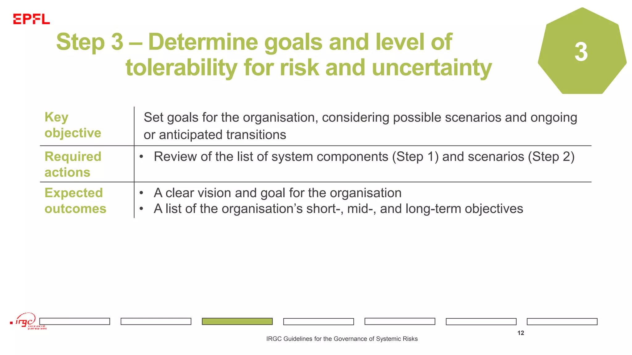 IRGC Guidelines for the Governance of Systemic Risks | PPTX