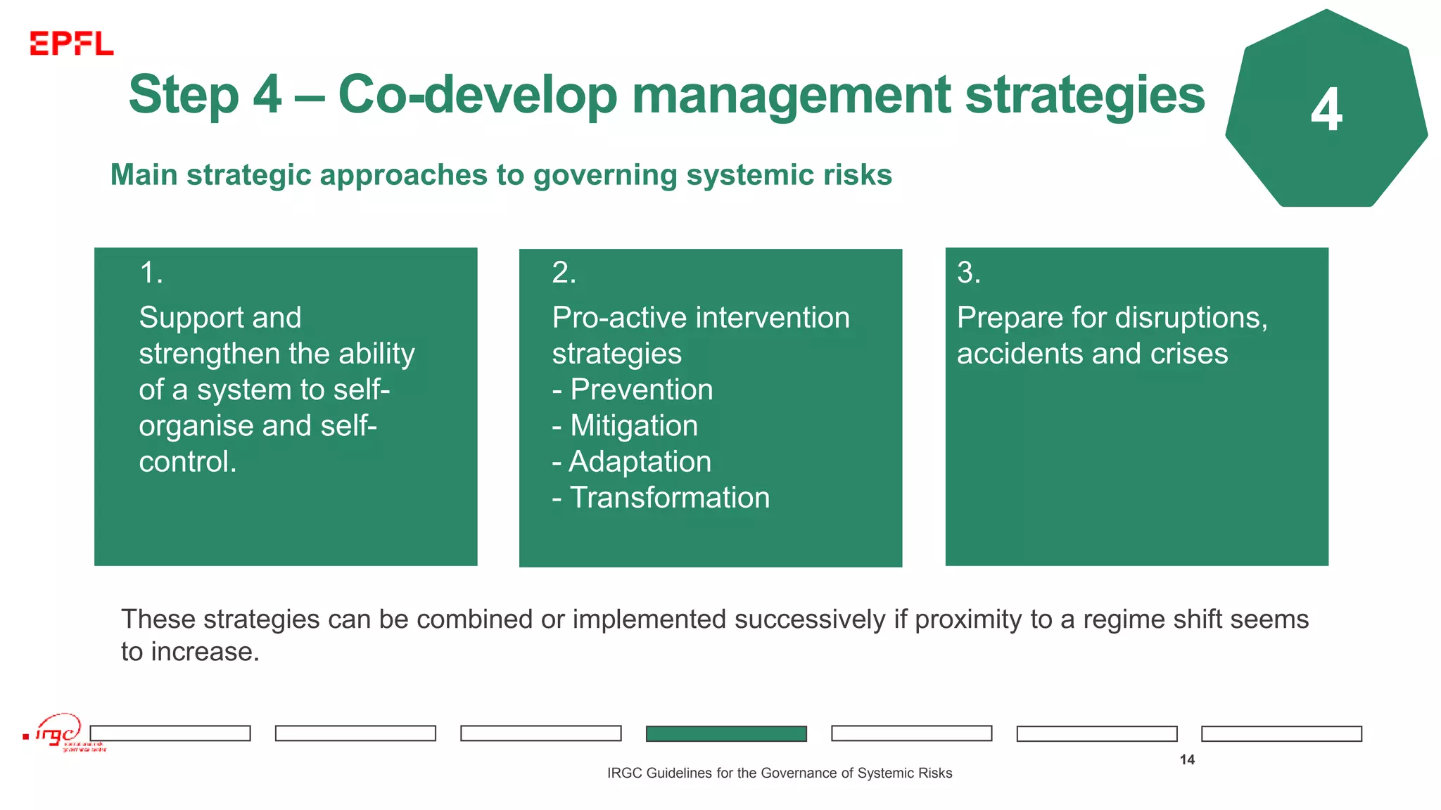 IRGC Guidelines for the Governance of Systemic Risks | PPTX
