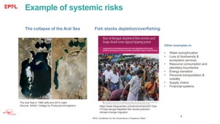 IRGC Guidelines for the Governance of Systemic Risks | PPTX