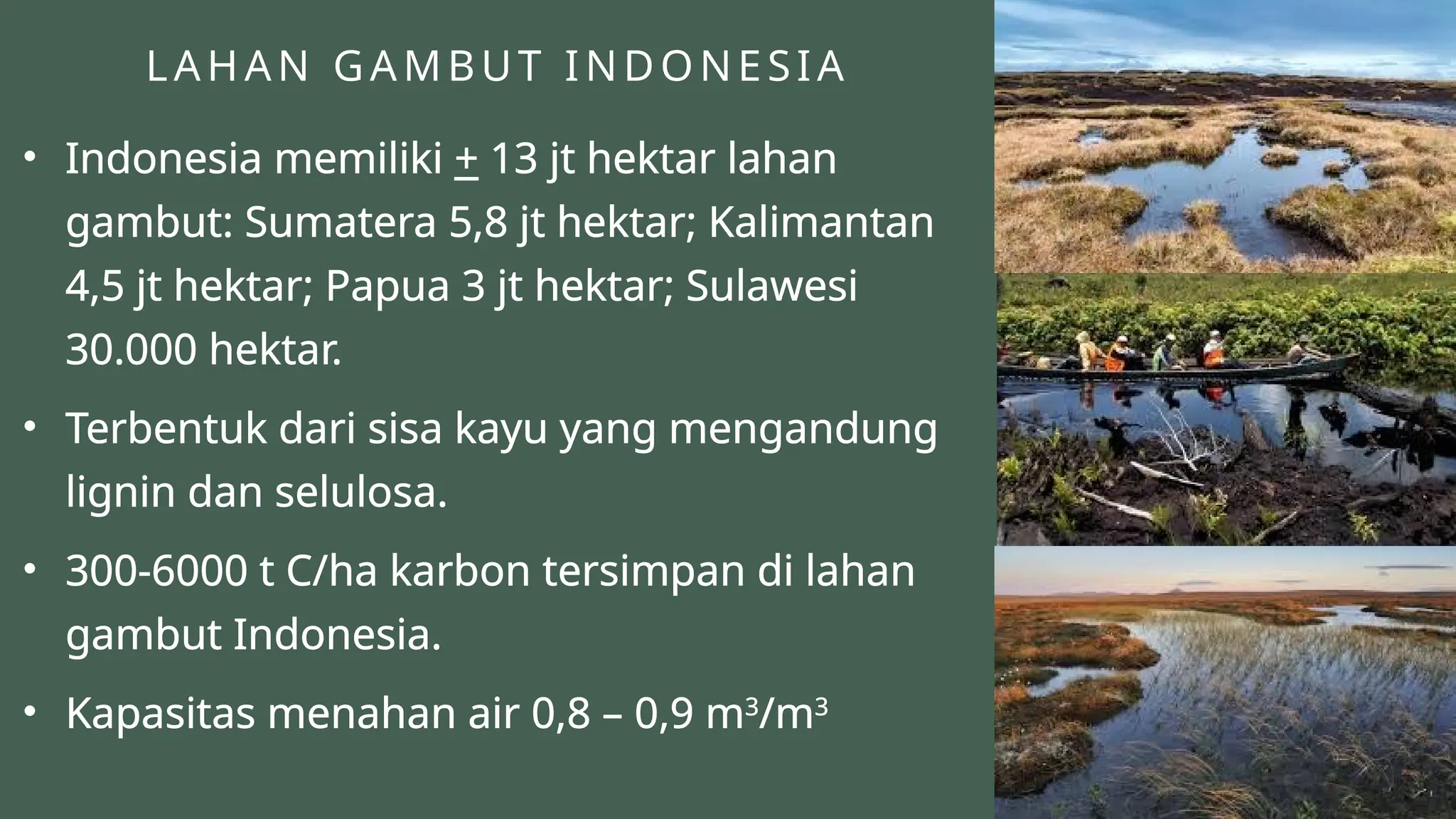 Irham Luthfi_PPT Restorasi Lahan Gambut Tropis yang Terdegradasi di Indonesia.pptx