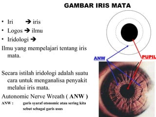 IRIDOLOGI.Sebuah Mekanisme Mendiagnosis Penyakitppt | PPT