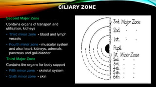 Iridology overview | PPTX