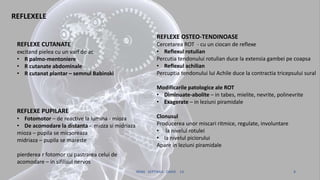 IRINA DARIE 1A SIS NERVOS.pptx