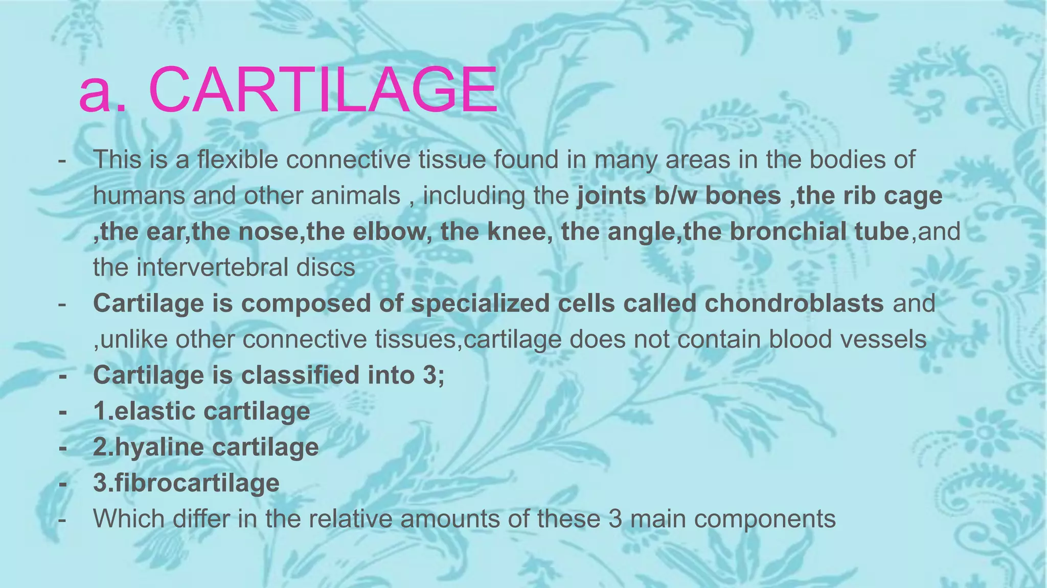 CONNECTIVE TISSUE | PDF