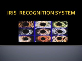Iris_ information_hiding recognation.ppt