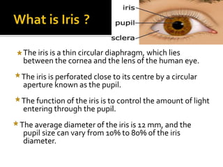 Iris_ information_hiding recognation.ppt