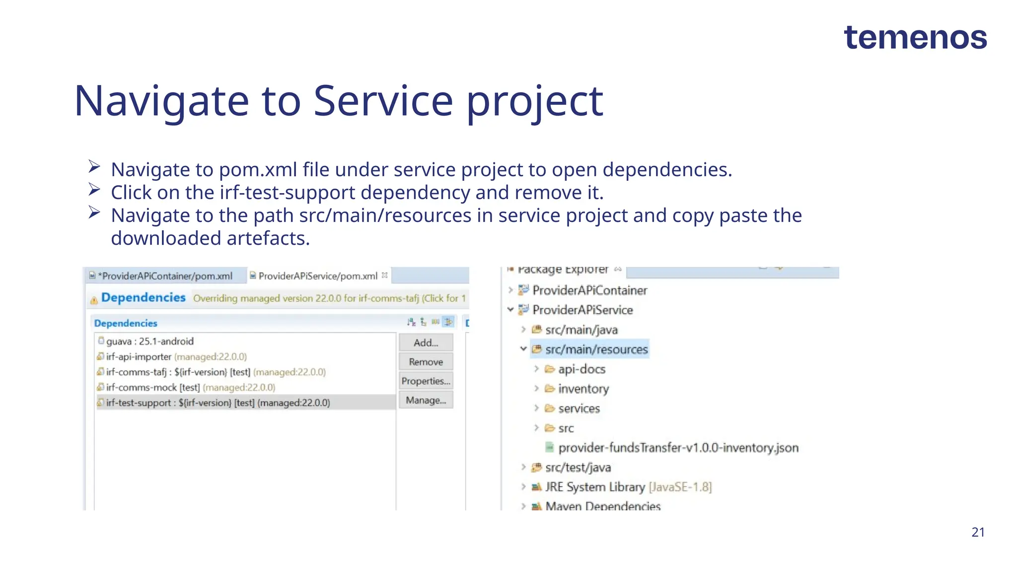 IRIS interface documentation training document | PPTX