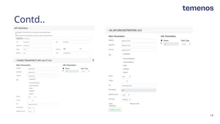 IRIS interface documentation training document | PPTX
