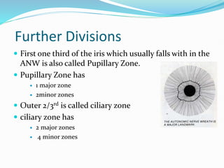 IRIS CHART.pptx iris chart of eyes in human | PPTX