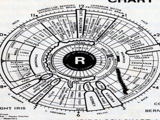 IRIS CHART.pptx iris chart of eyes in human | PPTX