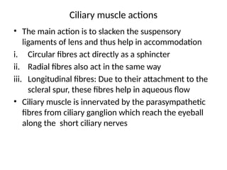 IRIS & CILIARY BODY ANATOMY AND STRUCTURE | PPTX