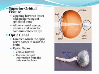 IRIS DIAGNOSIS.pptx