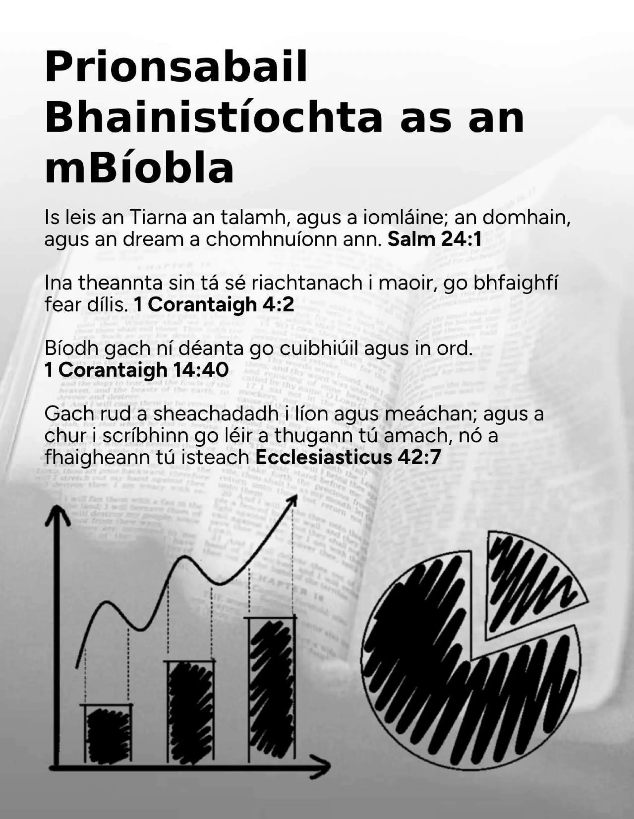 Irish - Management Principles from the Bible.pdf