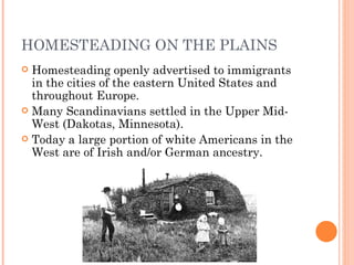 Irish and Other Europeans in the West | PPT