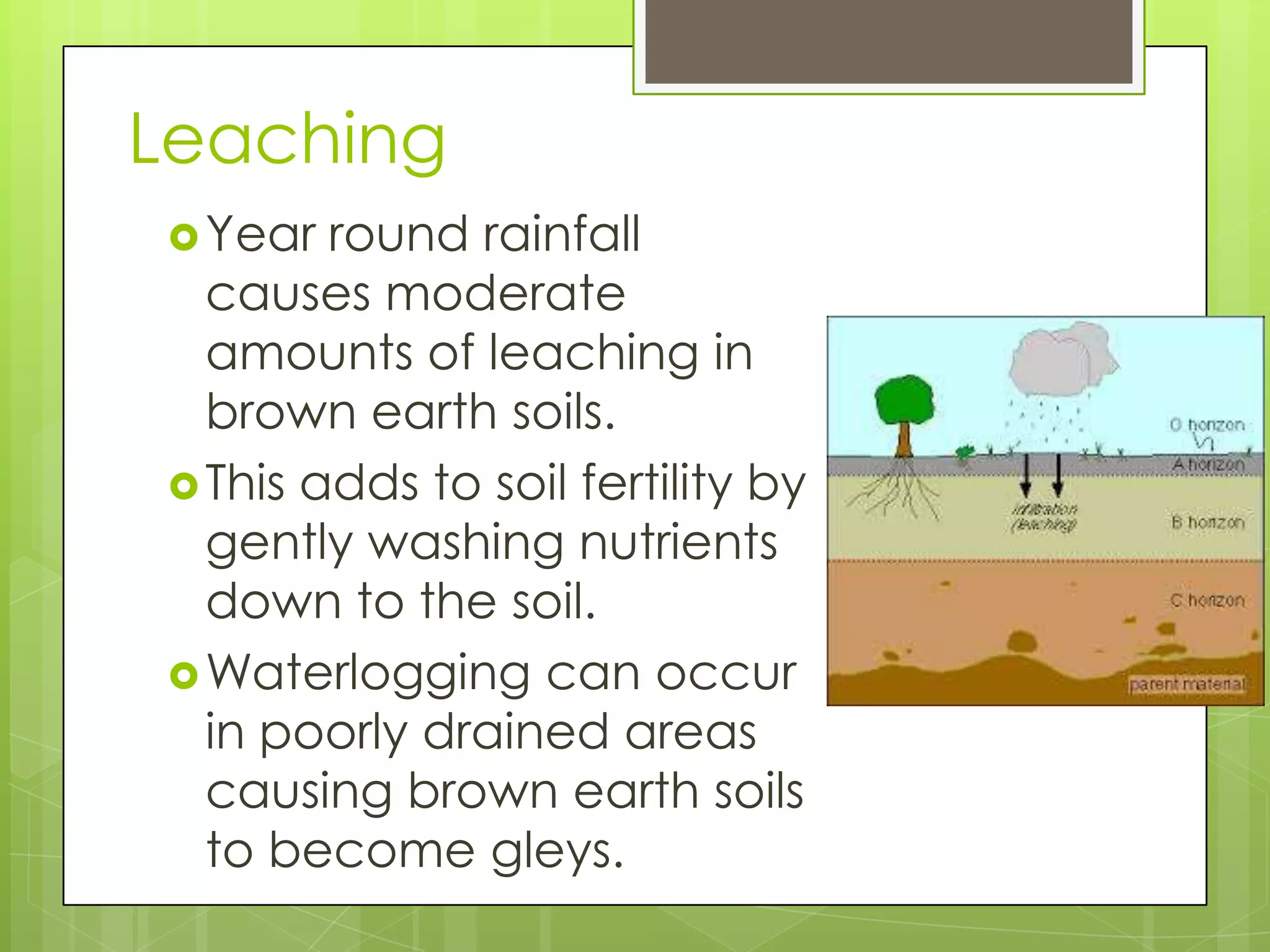 Irish brown earth soils | PPTX