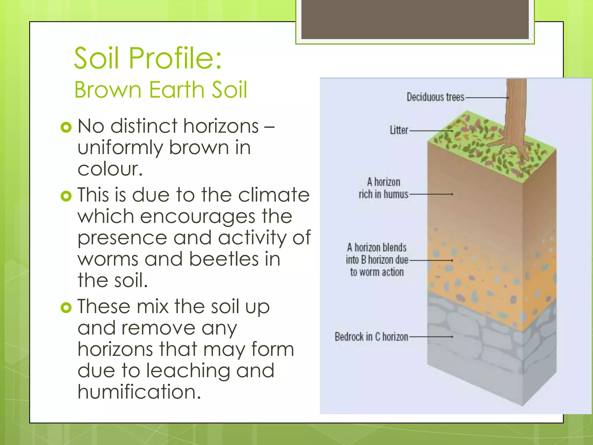 Irish brown earth soils | PPTX