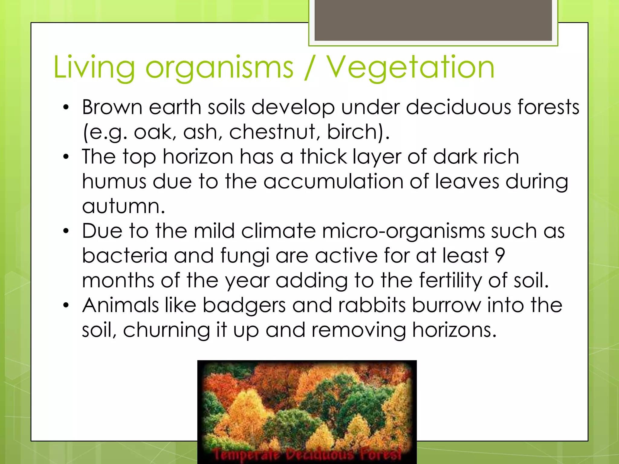 Irish brown earth soils | PPTX