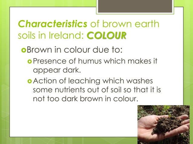 Irish brown earth soils | PPTX | Gardening | Home & Garden