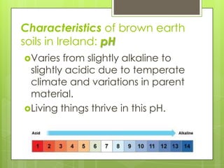 Irish brown earth soils | PPTX