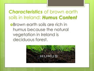 Irish brown earth soils | PPTX