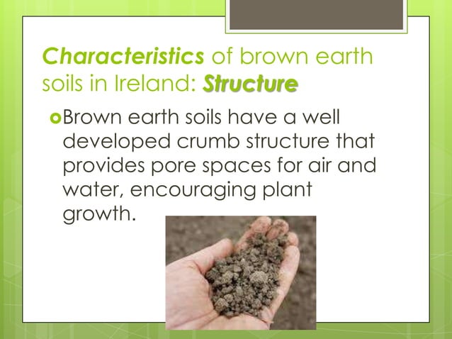 Irish brown earth soils | PPTX | Gardening | Home & Garden
