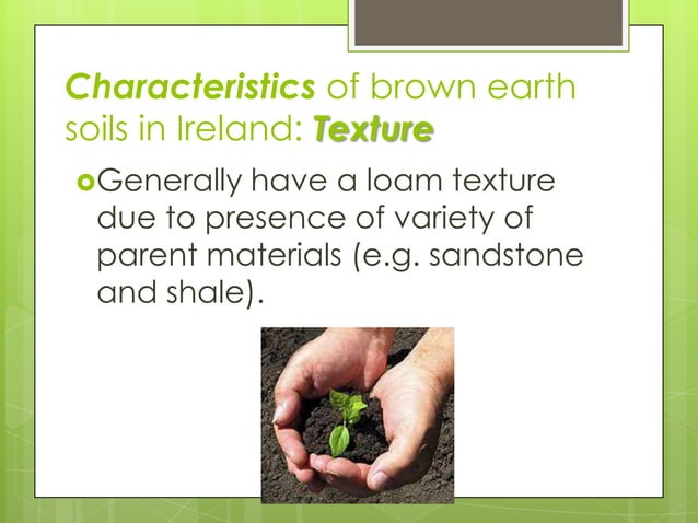 Irish brown earth soils | PPTX | Gardening | Home & Garden