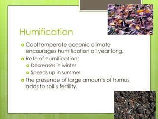 Irish brown earth soils | PPTX