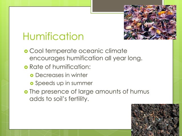 Irish brown earth soils | PPTX | Gardening | Home & Garden