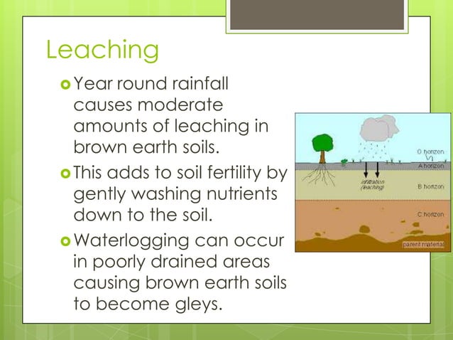 Irish brown earth soils | PPTX | Gardening | Home & Garden