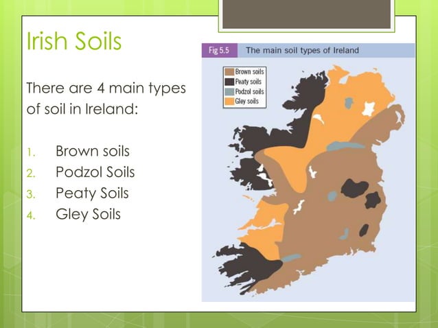 Irish brown earth soils | PPTX | Gardening | Home & Garden