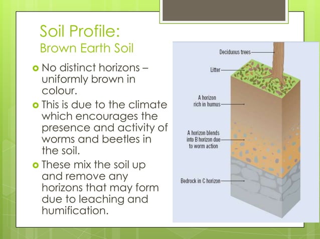 Irish brown earth soils | PPTX | Gardening | Home & Garden