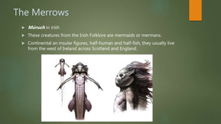 Irish fairies | PPTX