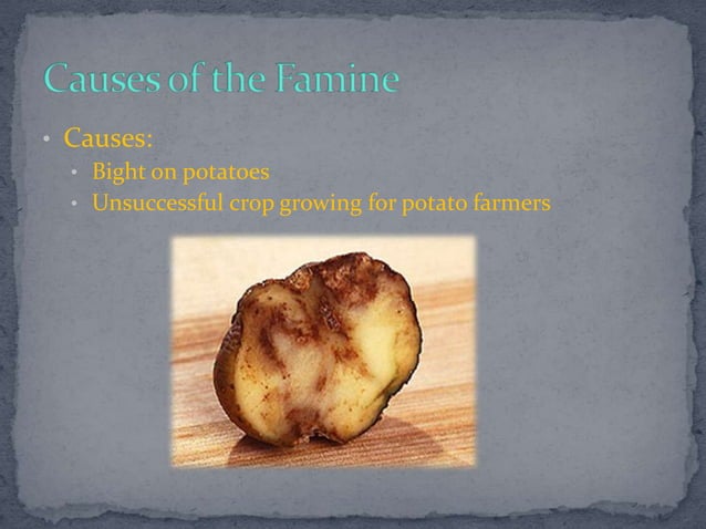 Irish famine | PPT
