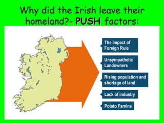 Irish immigration overview | PPT
