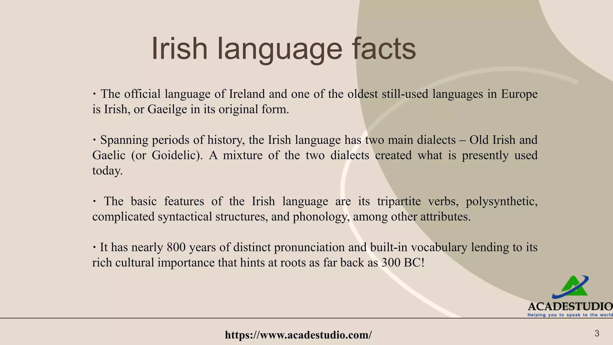 Irish language facts and important points.pdf