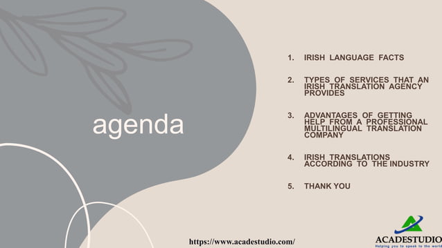 Irish language facts and important points.pdf