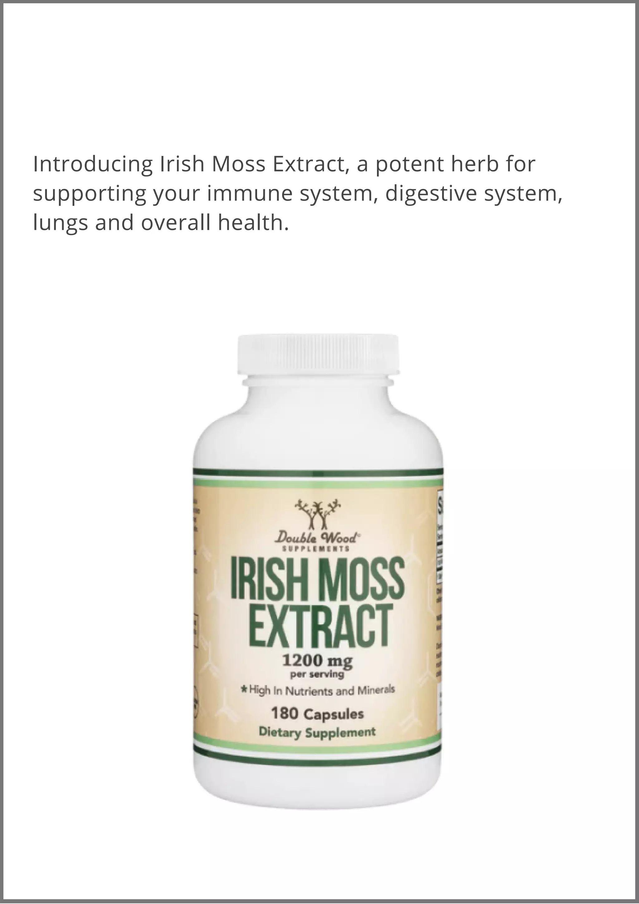 Irish Moss Australia | PDF