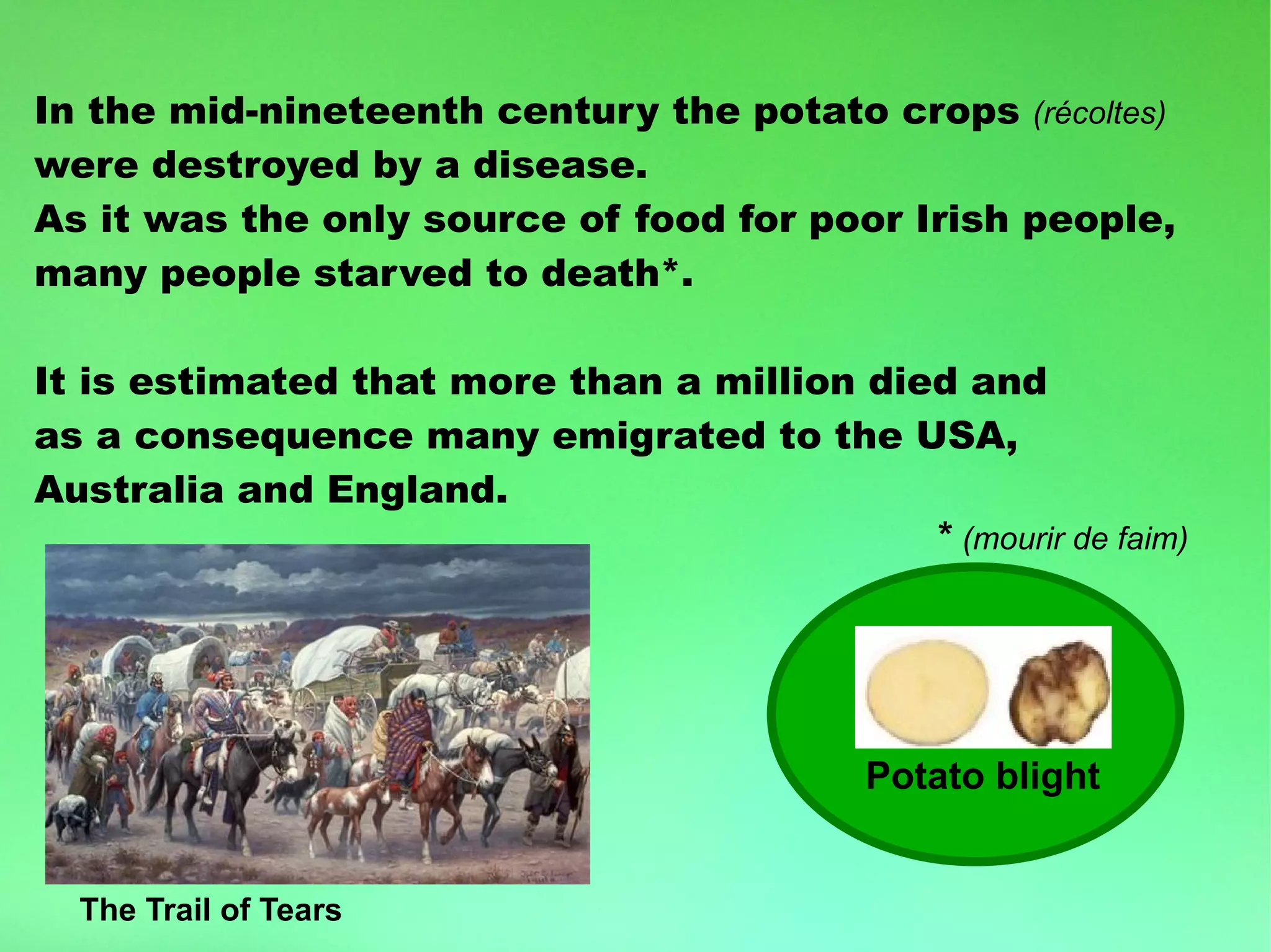 Irish Potato Famine | PPT