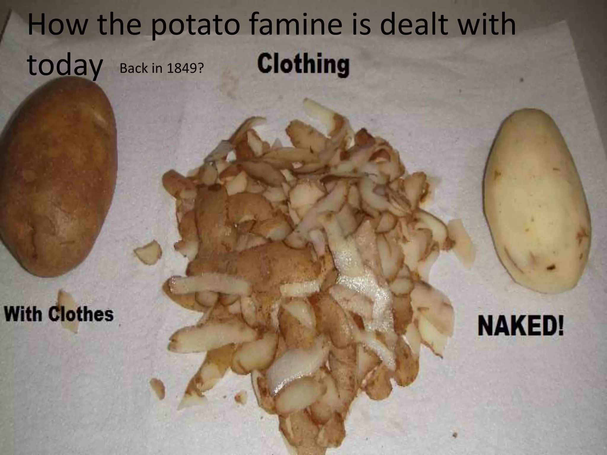 Irish potato famine | PPTX