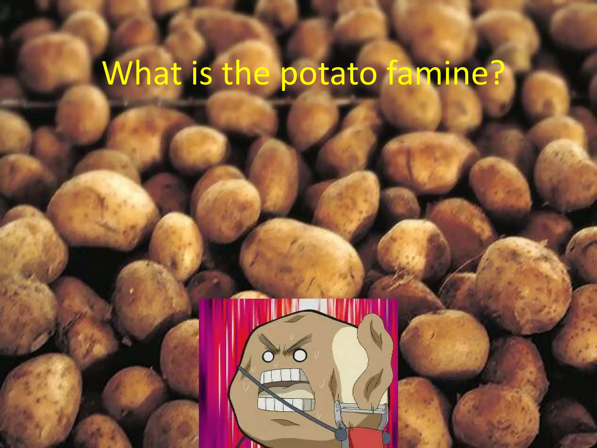 Irish potato famine | PPTX