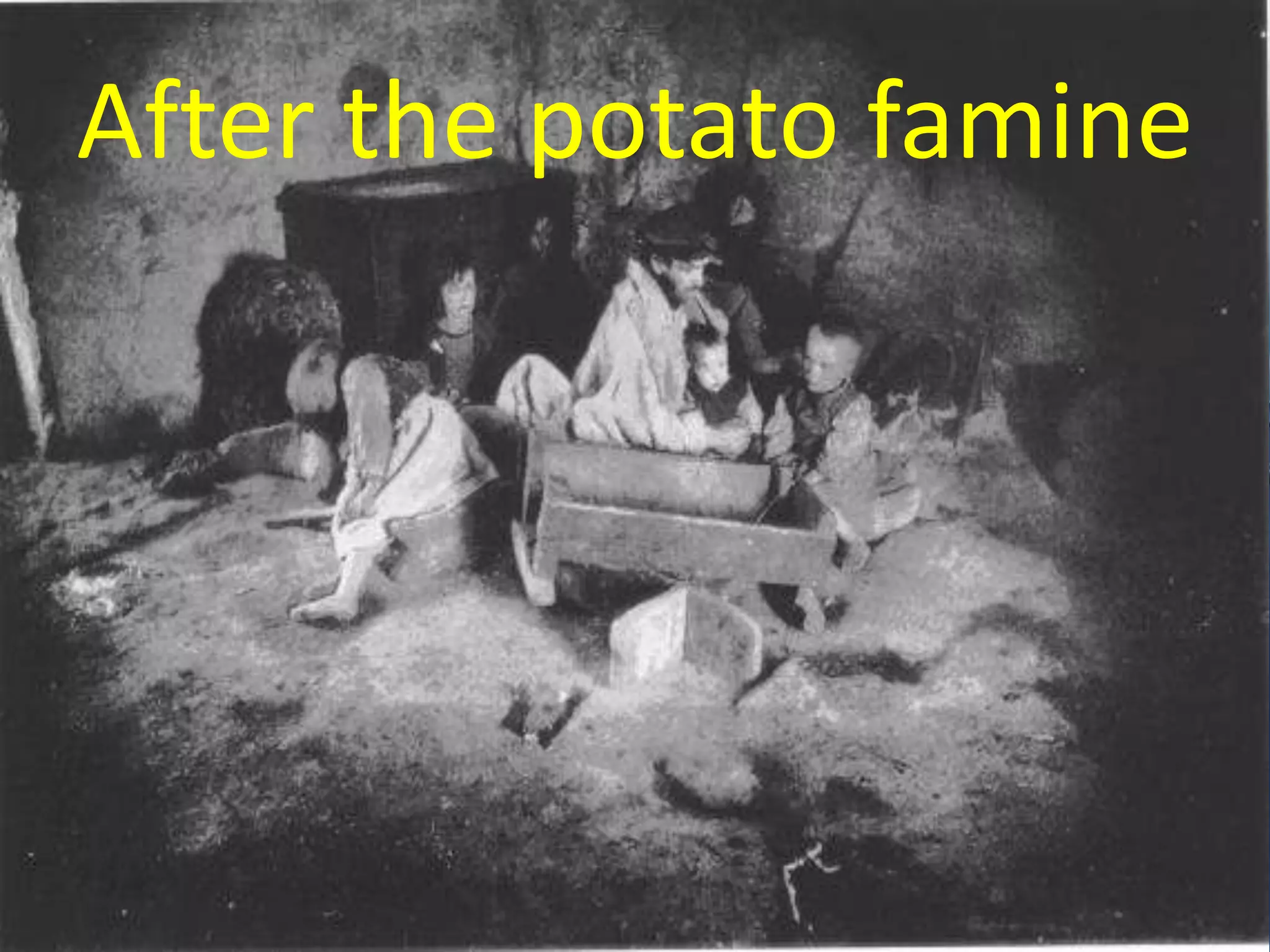 Irish potato famine | PPT