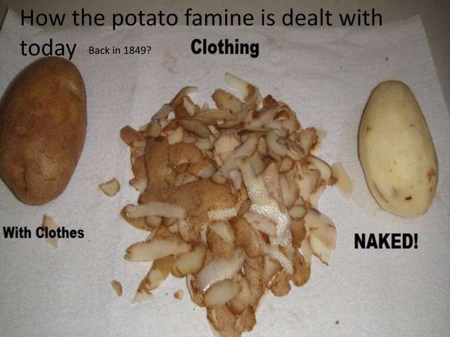 Irish potato famine | PPTX