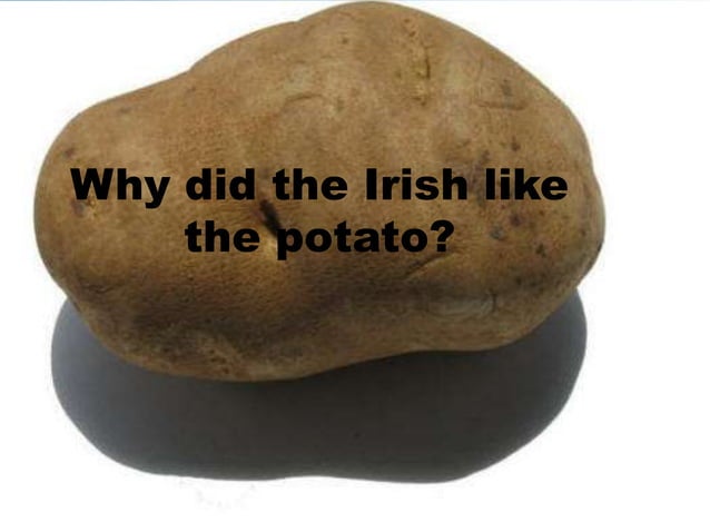 Irish potato famine | PPTX