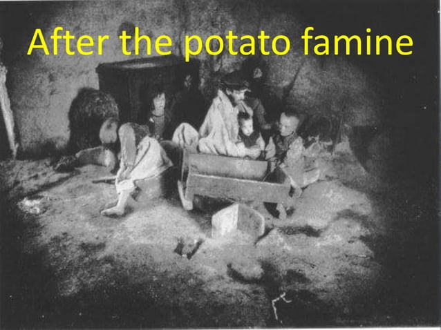 Irish potato famine | PPTX