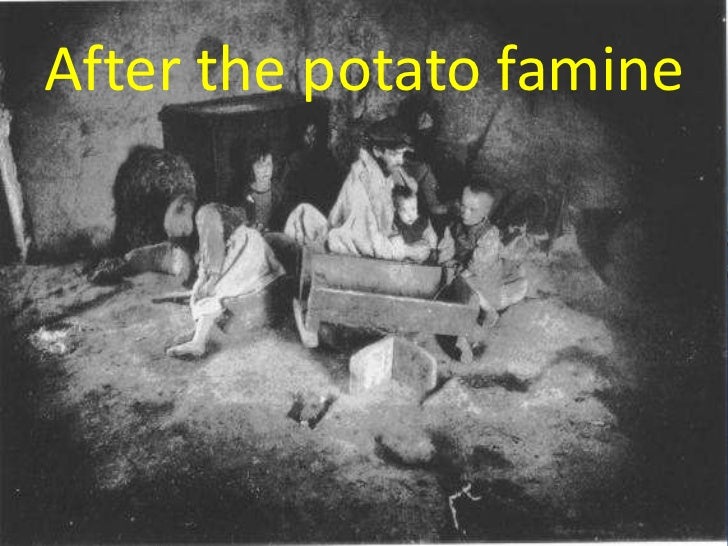 Irish potato famine