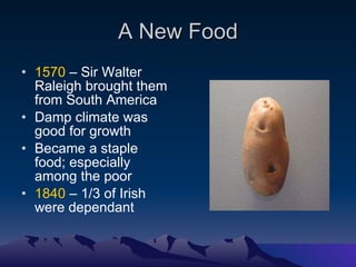 Irish Potato Famine | PPT